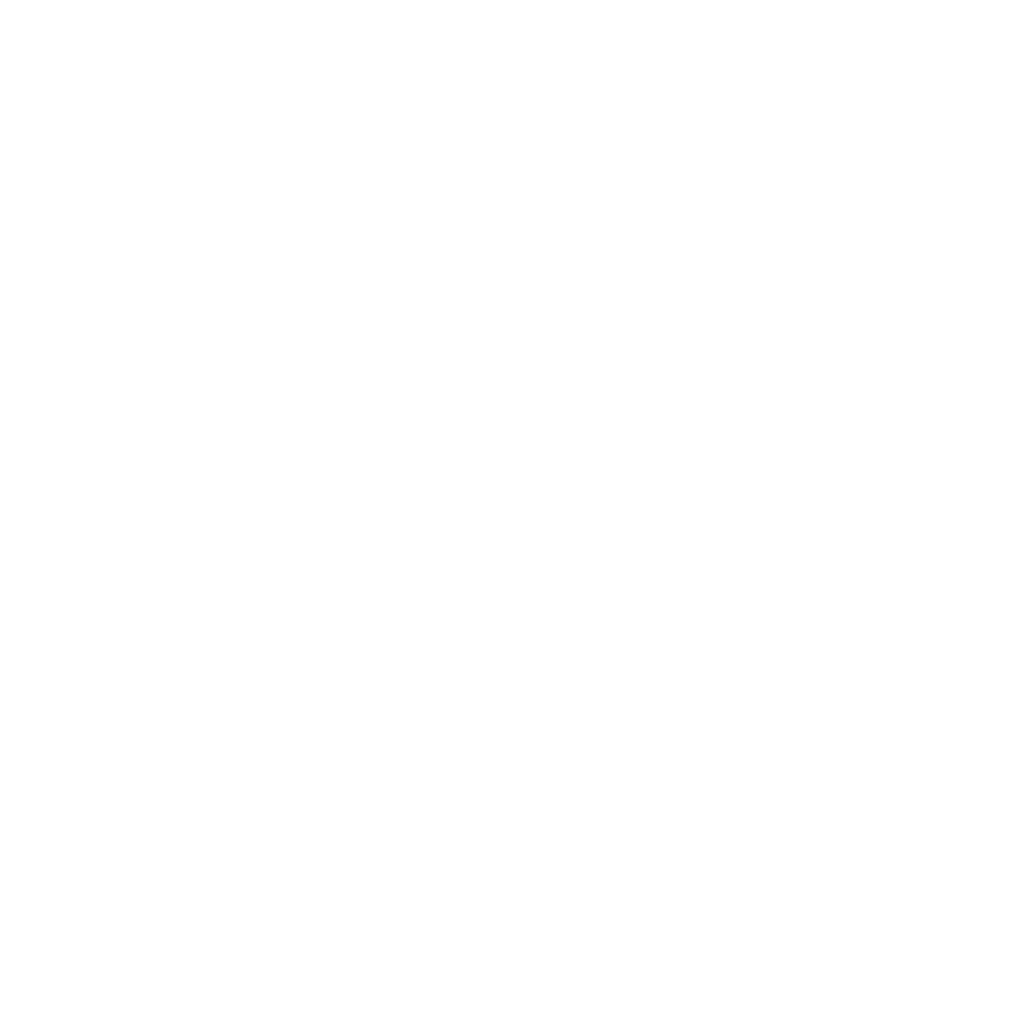 Chicago Healthcare Alliance Lions Club – Lions Club